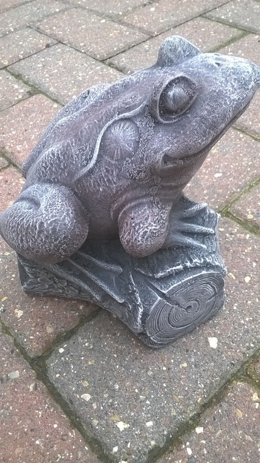 Frog on A Log/toad on Log Large Quality Detail & Finish - Etsy