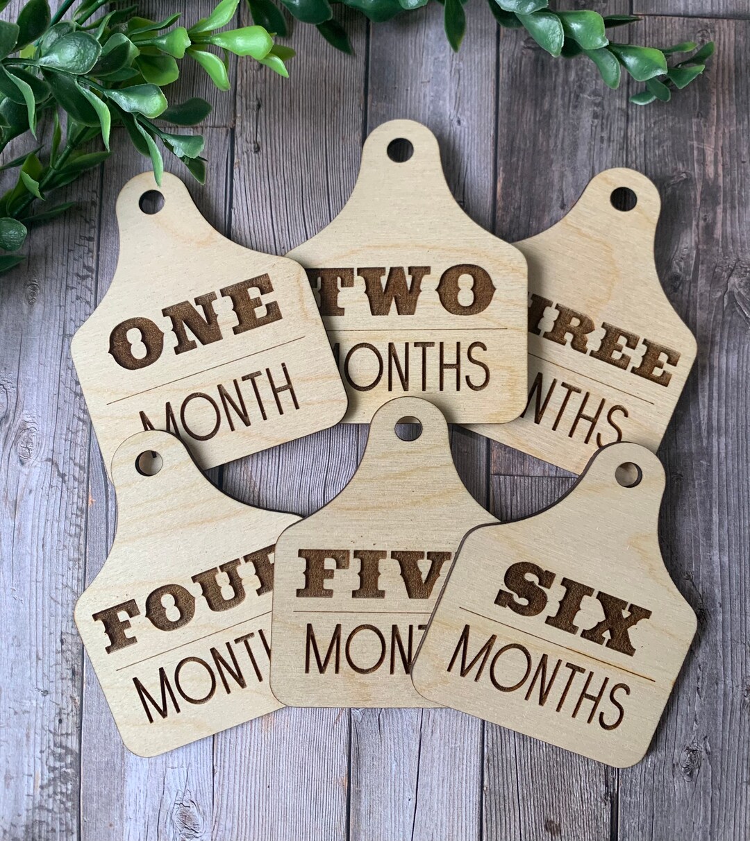 Cow Tag Monthly Milestone Photo Prop, Baby Birth Stats - Etsy