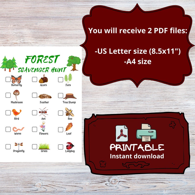 Forest Scavenger Hunt - Nature Scavenger Hunt - Charlotte Mason ...