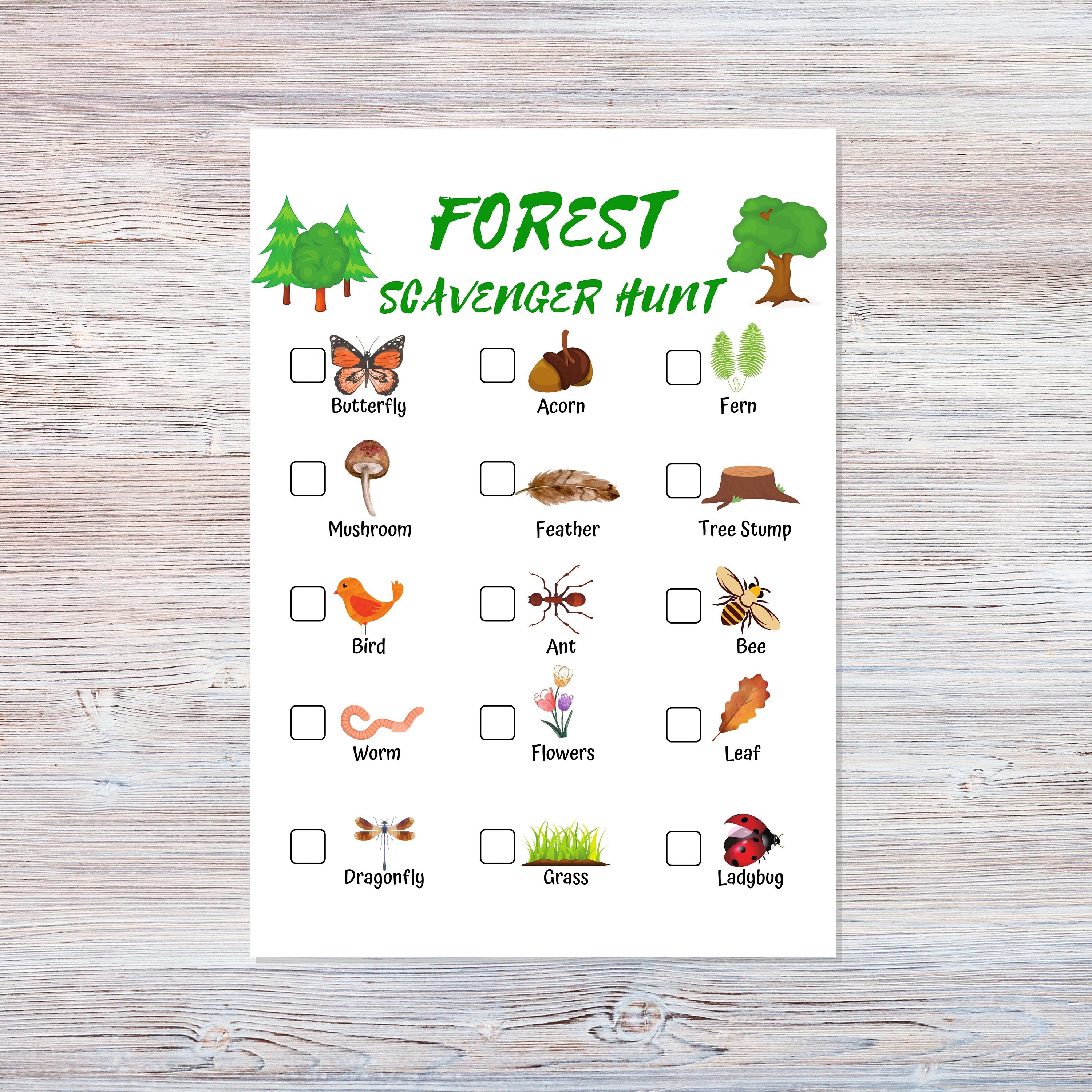 Forest Scavenger Hunt - Nature Scavenger Hunt - Charlotte Mason ...