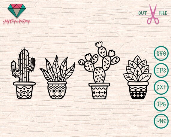 Cactus SVG File Cactus Cut File Succulent Svg Cactus | Etsy