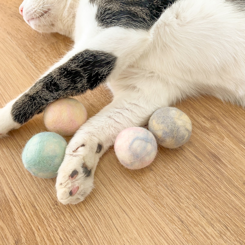 Cat Pom Pom Ball Toy - Etsy