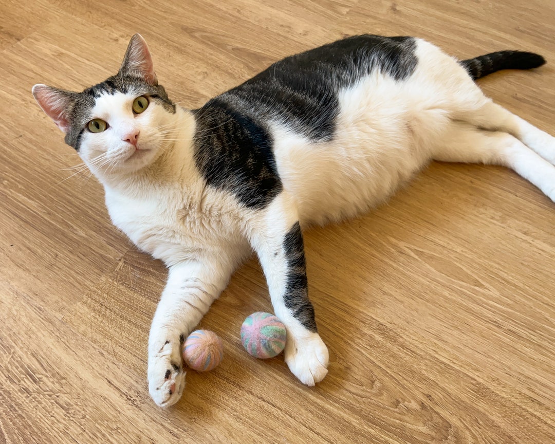 Natural Wool Ball for Cats, Set of Felt Balls With Catnip, Eco-friendly ...