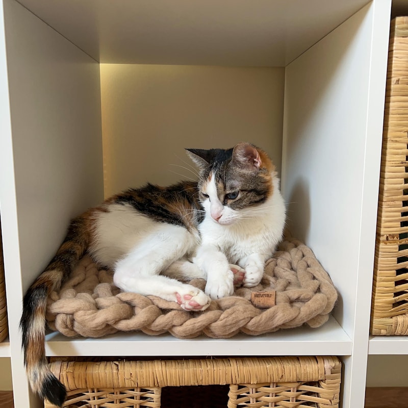 Modular Cat Furniture - Etsy