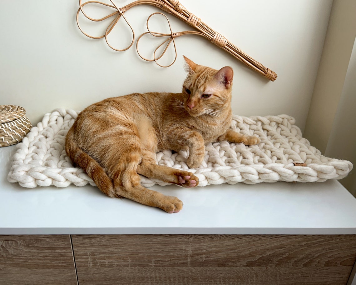 Chunky Knits Cat Bed Merino Wool Pet Bed Warm and Natural - Etsy