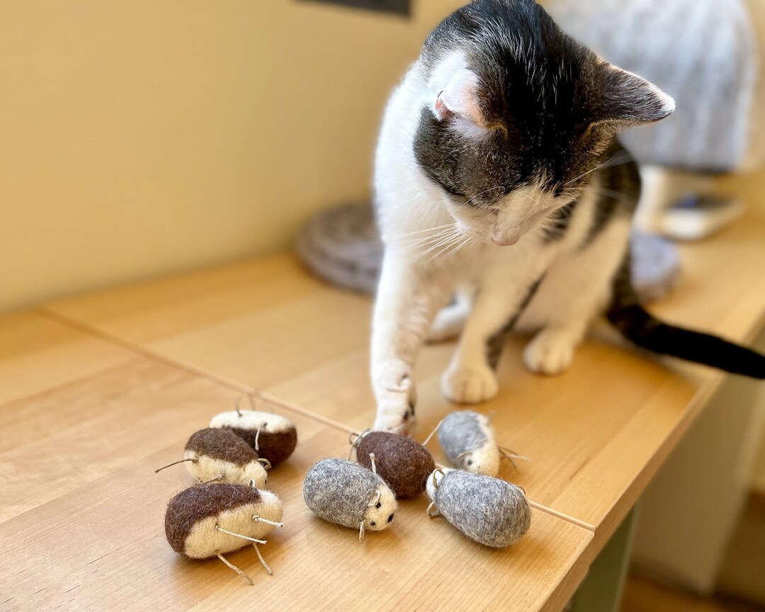 Natural Wool Toys With Rattle for Cats, Organic Toys With Catnip for ...