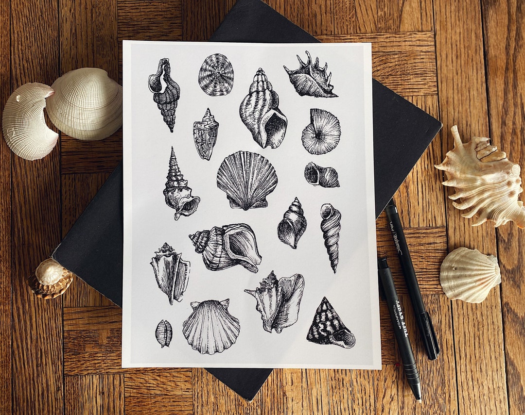 Ink Seashell Assortment, Seashell Collection Art Print, Black and White ...