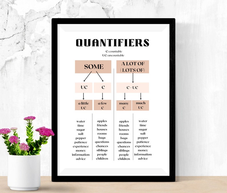 QUANTIFIERS Chart, Cheat Sheet, Poster for ESL Learners, Size A4, Digital Download - Etsy