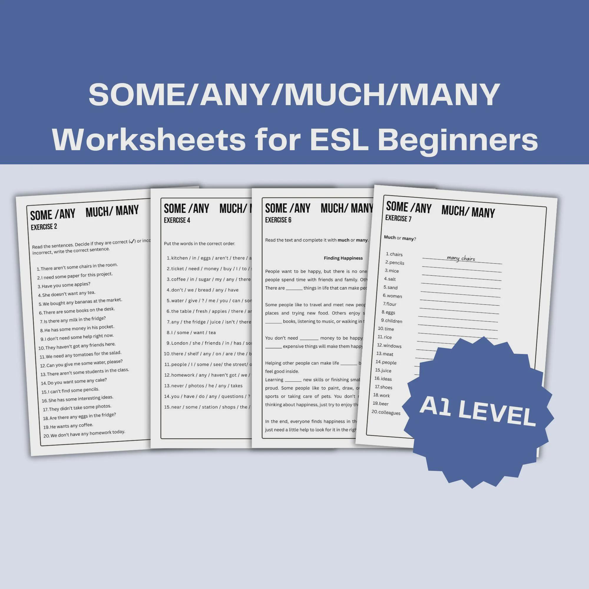 EFL/ESL Grammar Worksheets Bundle – 95 Beginner Exercises (A1-A2) (PDF ...