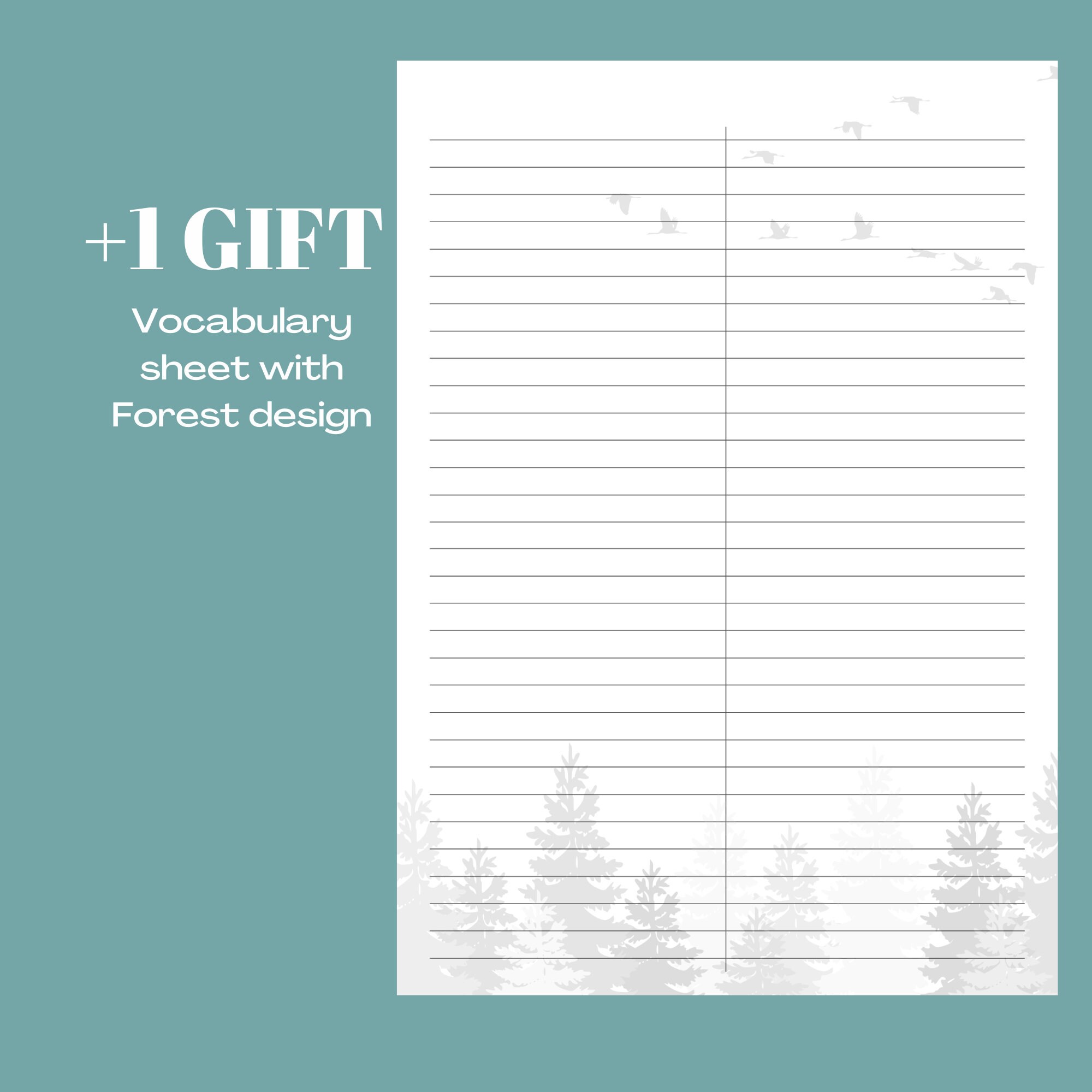 A2 Level English Grammar Topic Tracker Notes for Beginners - Etsy