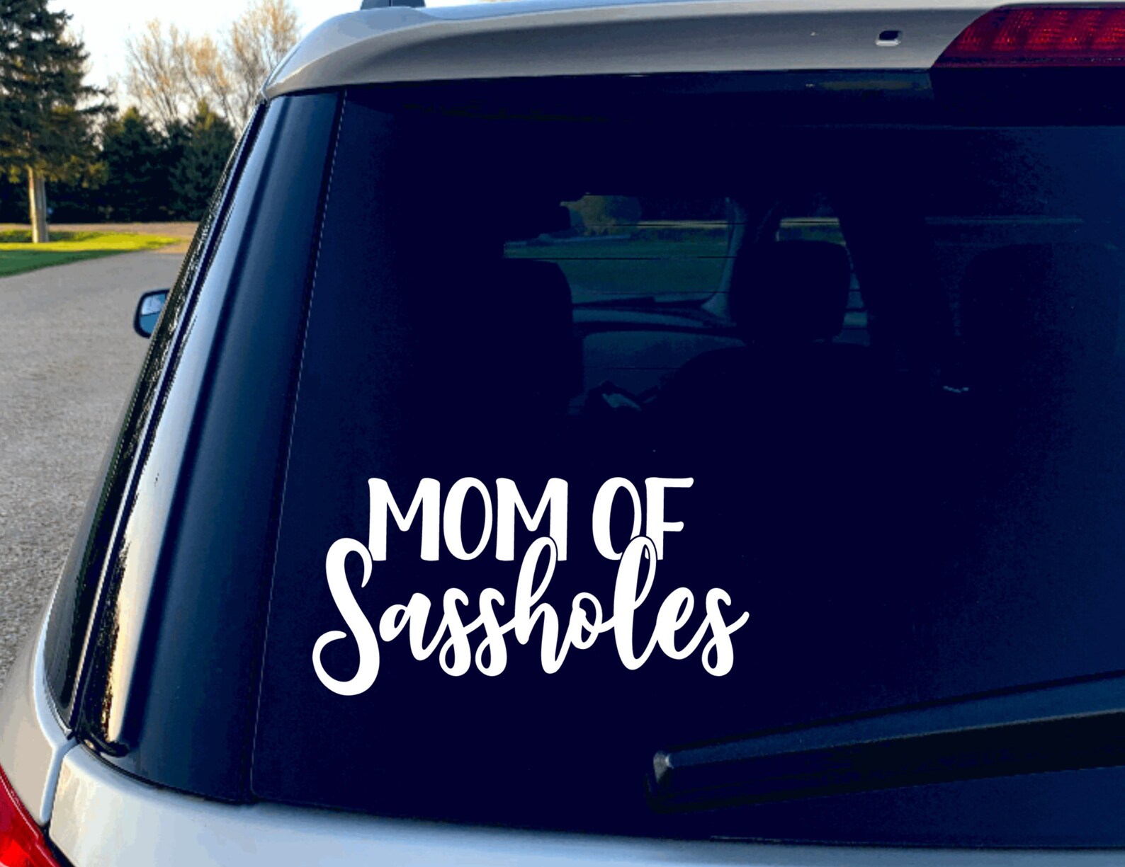 Mom of Sassholes Decal, Funny Mom Decal, Car Decals for Mom ...