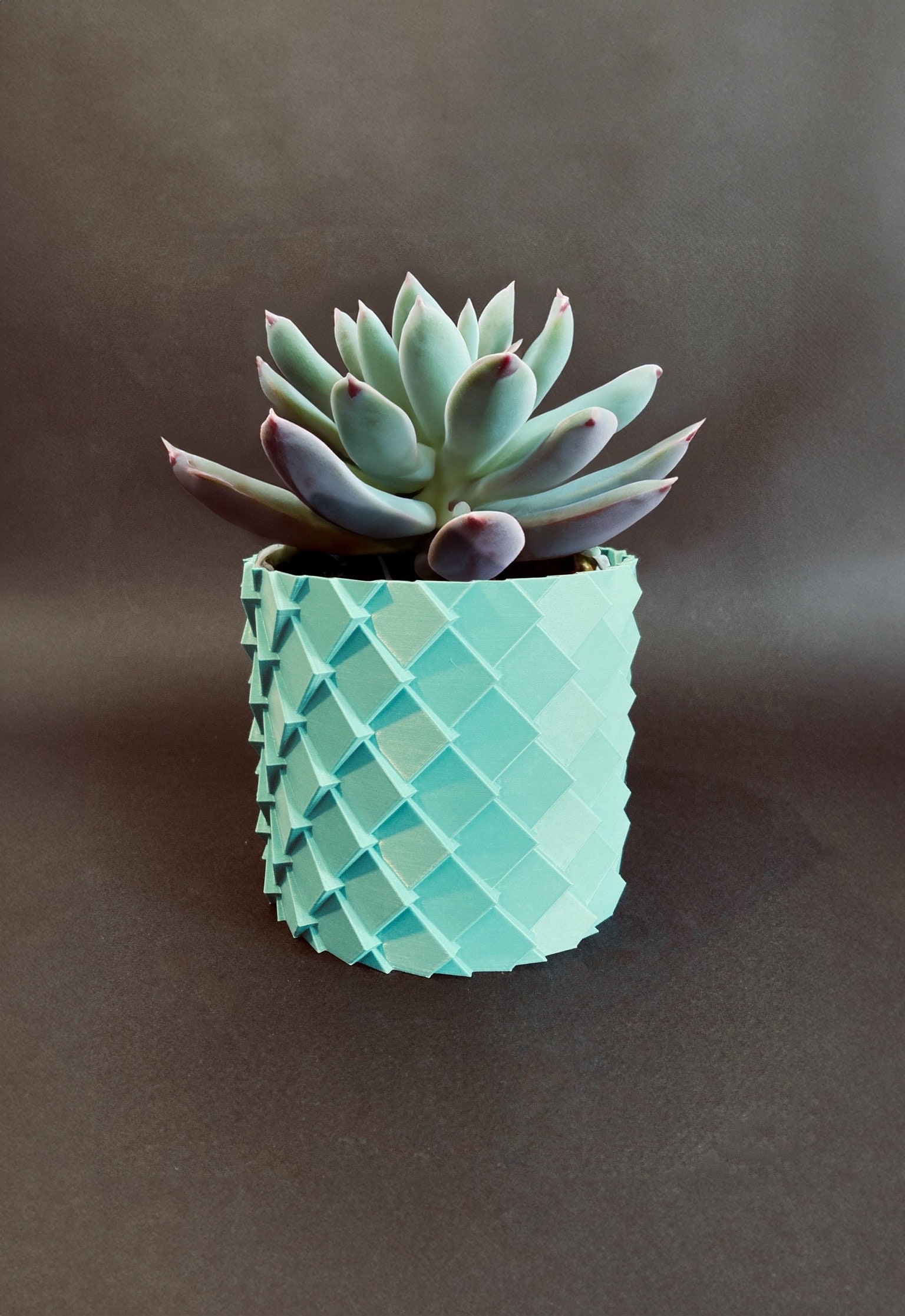 Scale Flower Pot / Dragon Scale Cachepot / 3D Printing - Etsy