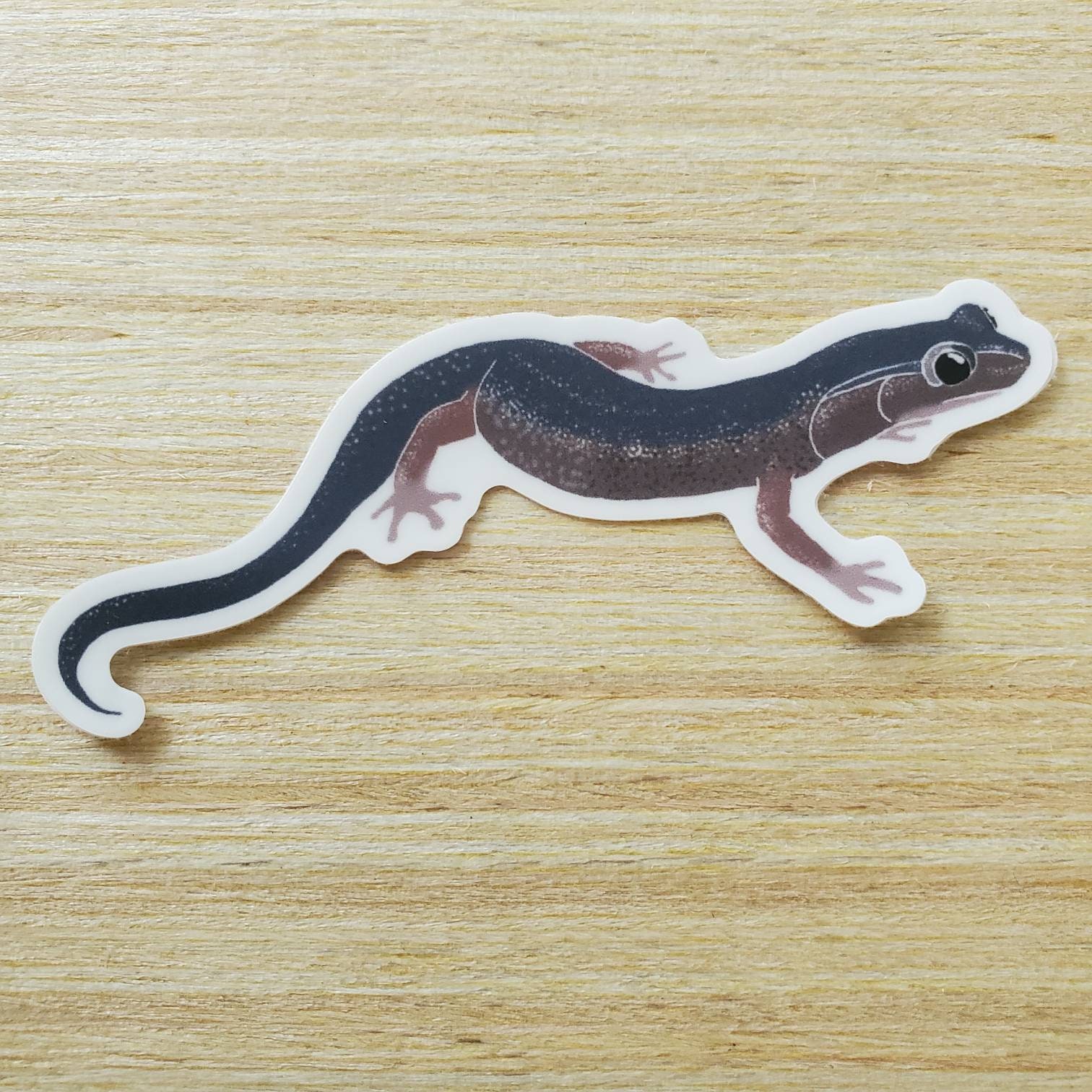 Gray-Cheeked Salamander Vinyl Sticker - Etsy.de