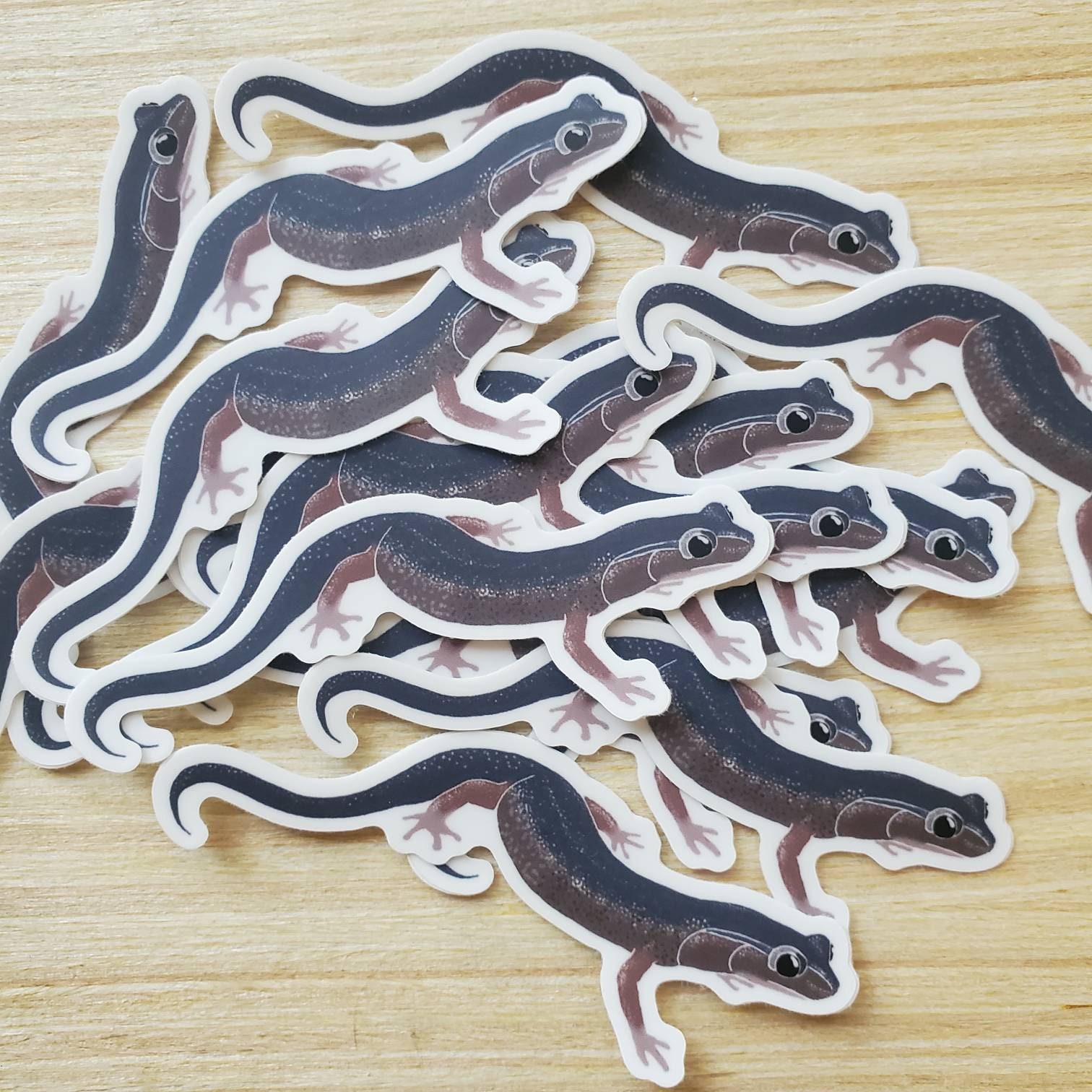 Gray-Cheeked Salamander Vinyl Sticker - Etsy.de