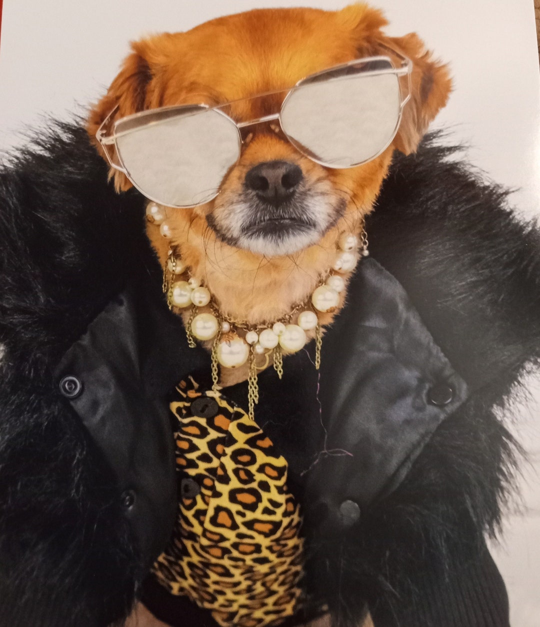 Downloaded "my Pet Notes" Planner/journal - Etsy