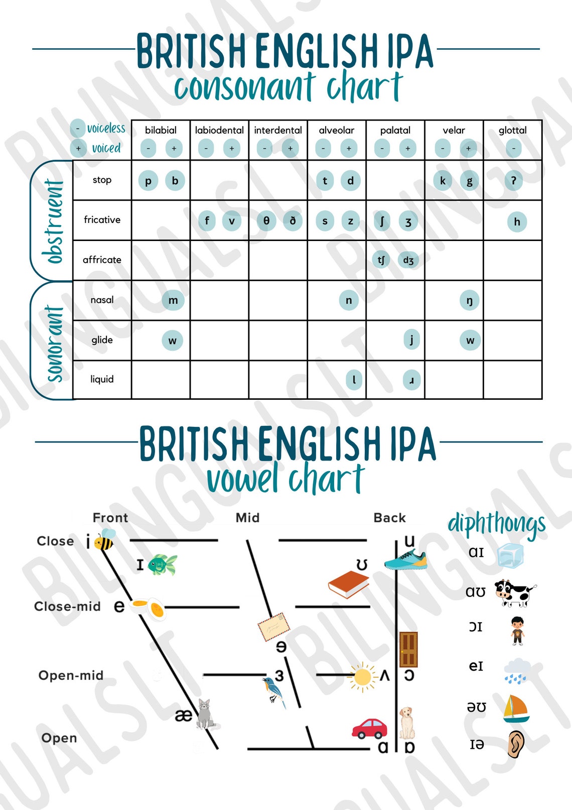 British English IPA Consonant and Vowel Chart Study Tool and Reference ...