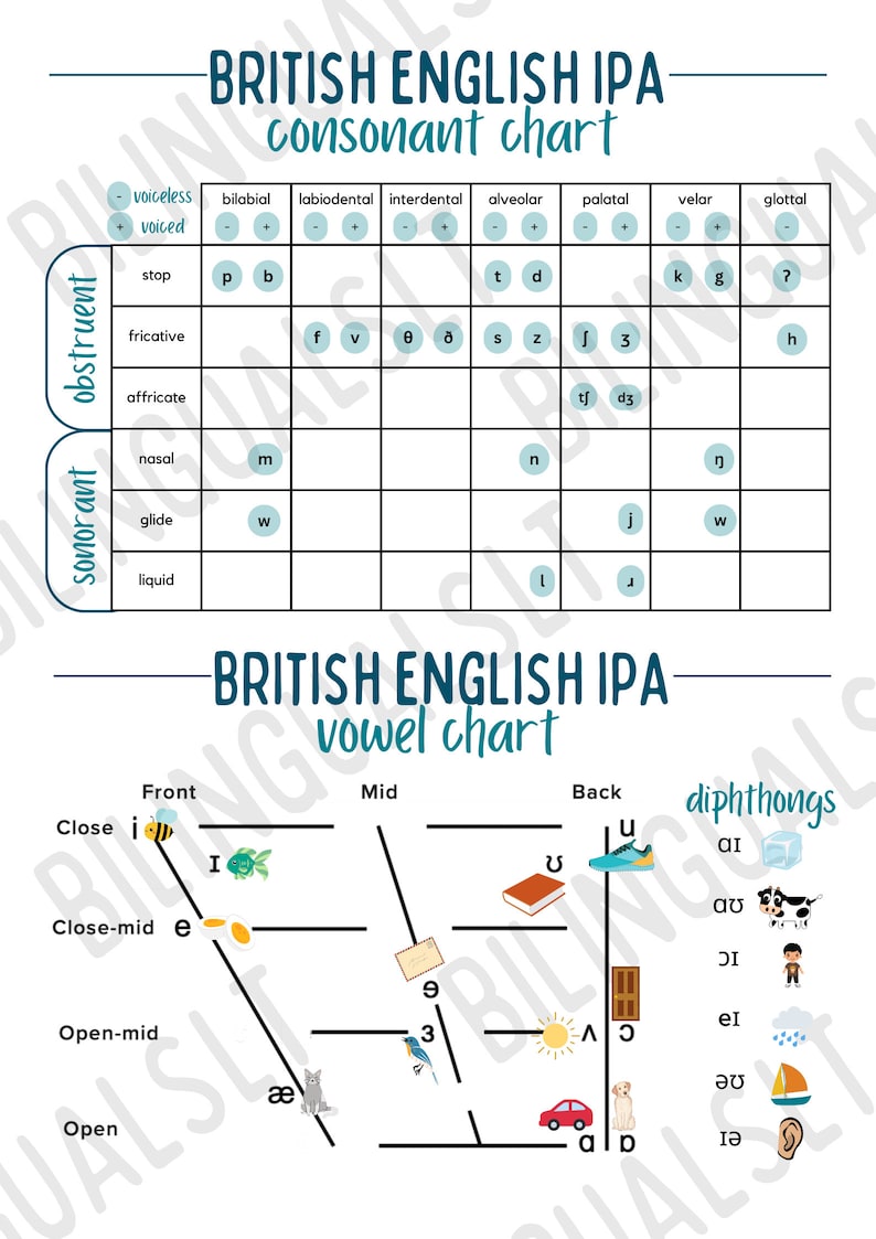 British English IPA Consonant and Vowel Chart Study Tool and Reference ...