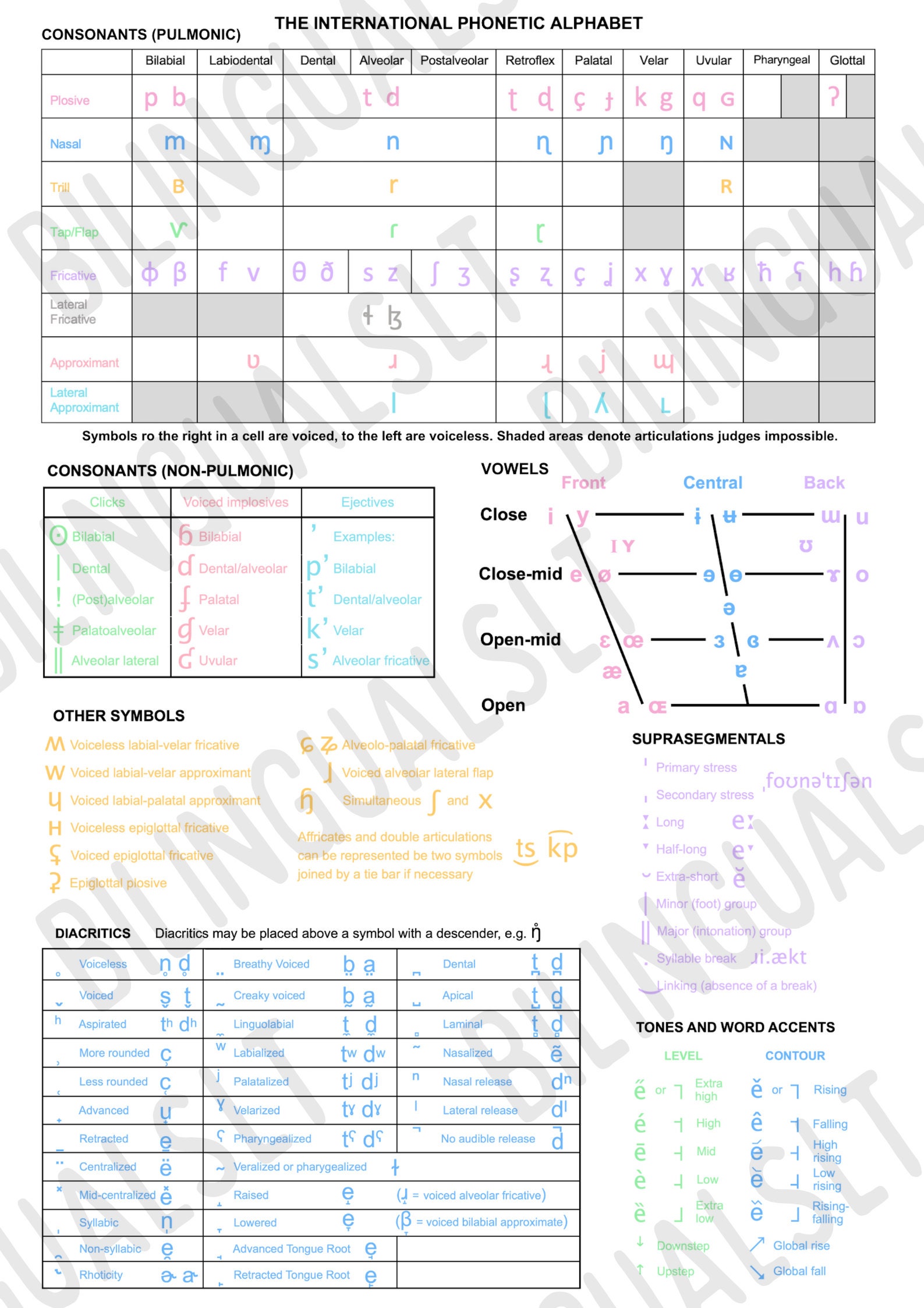 DIGITAL DOWNLOAD Full Pastel IPA Chart - Etsy