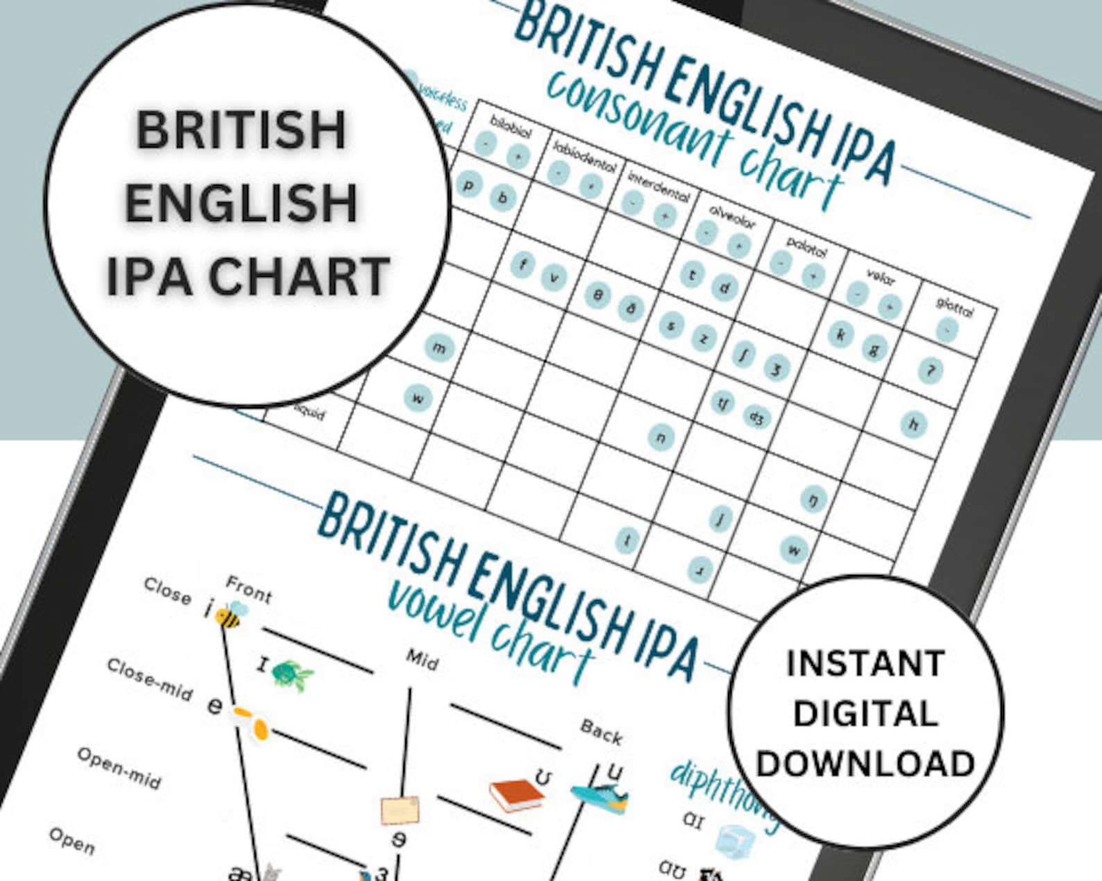 British English IPA Consonant and Vowel Chart Study Tool and Reference ...