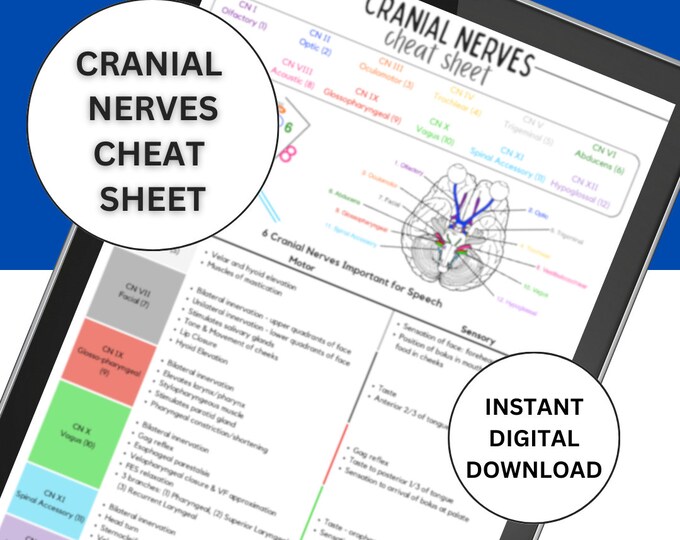 Cranial Nerves Explained for Speech Therapists - Etsy Australia