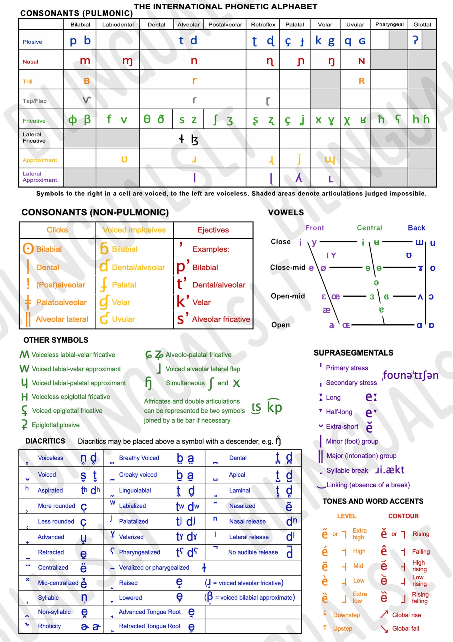 Digital Downdload Full Colourful IPA Chart, IPA Chart, International ...