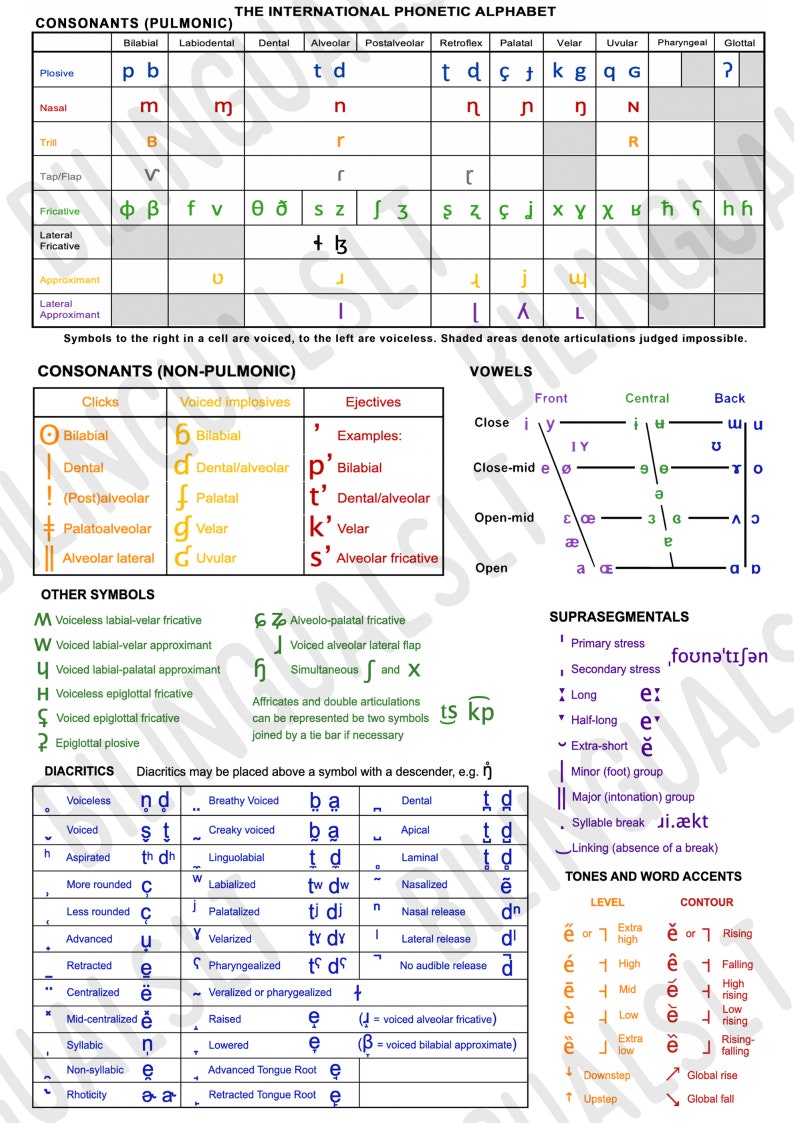 Digital Downdload Full Colourful IPA Chart, IPA Chart, International Phonetic Alphabet Chart ...