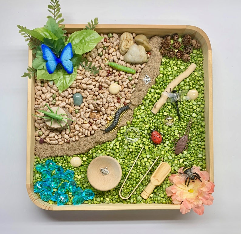Incredible Insect Sensory Bin for Preschoolers
