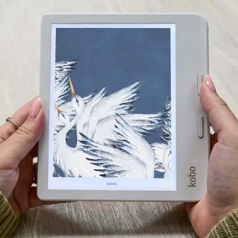 Ereader Kobo Colour Screensaver Lock Screen for Kobo Libra Clara ...