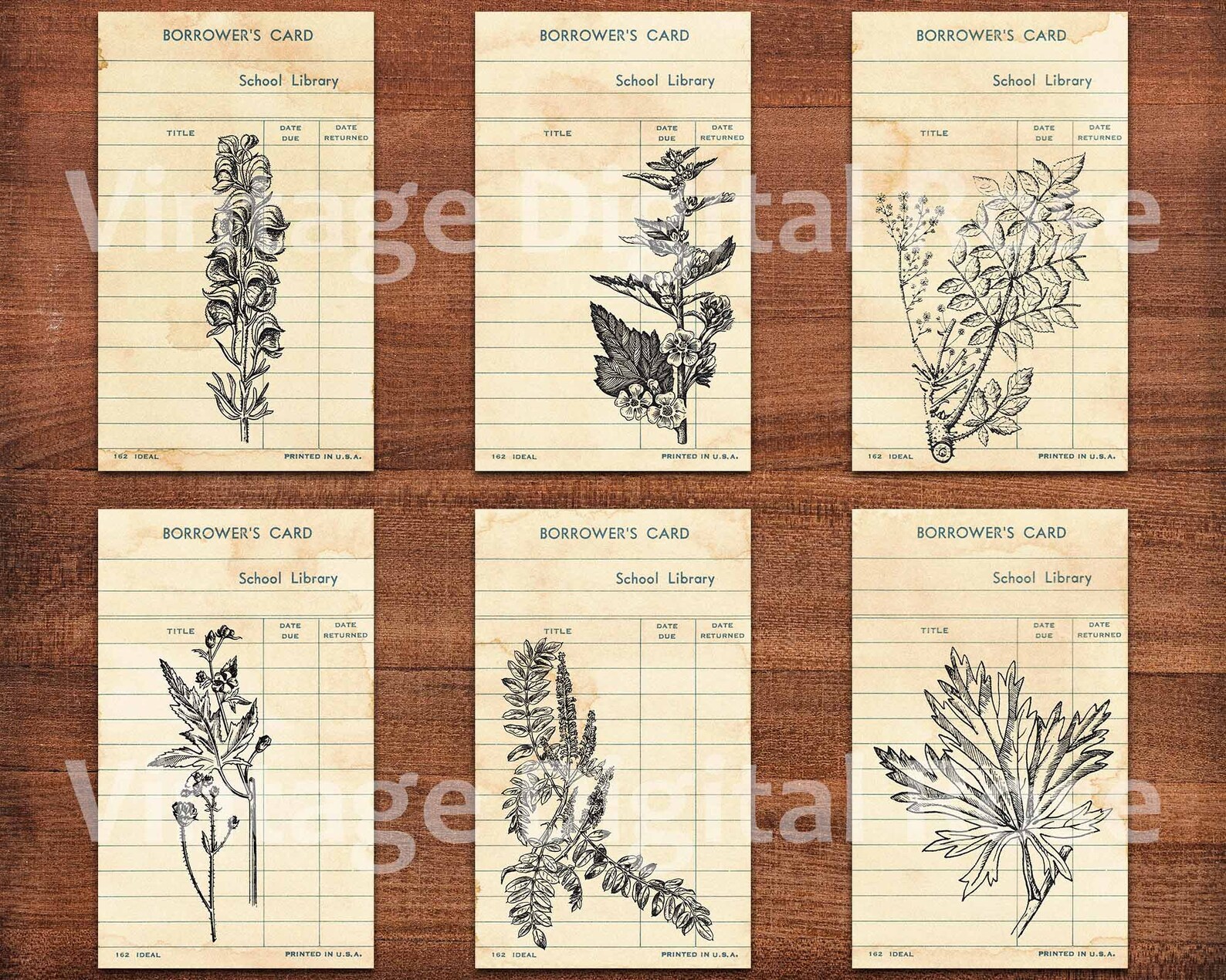 Vintage Printable School Library Cards Black and White Botanical ...