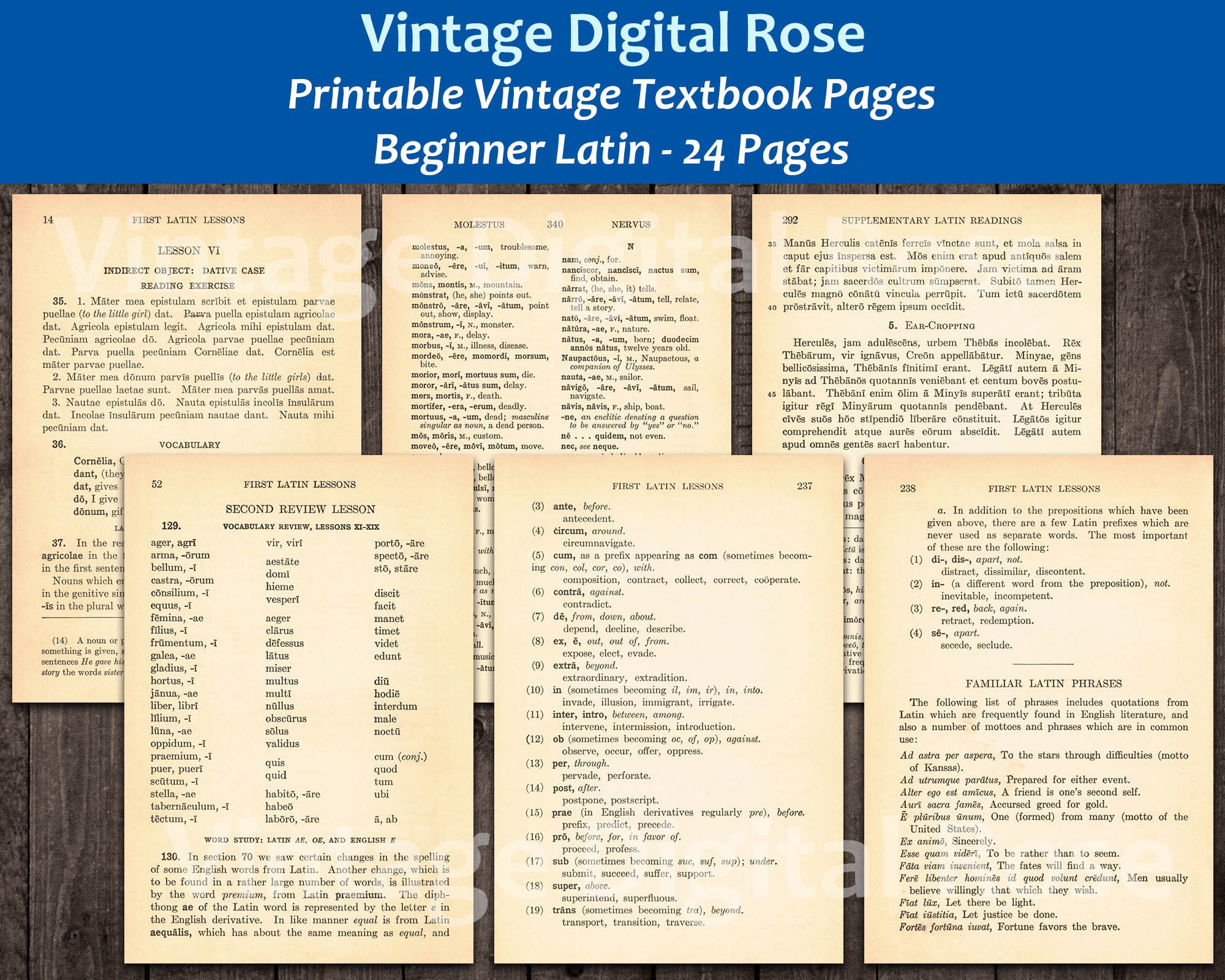24 Printable Vintage Latin Textbook Pages Classroom Materials | Etsy