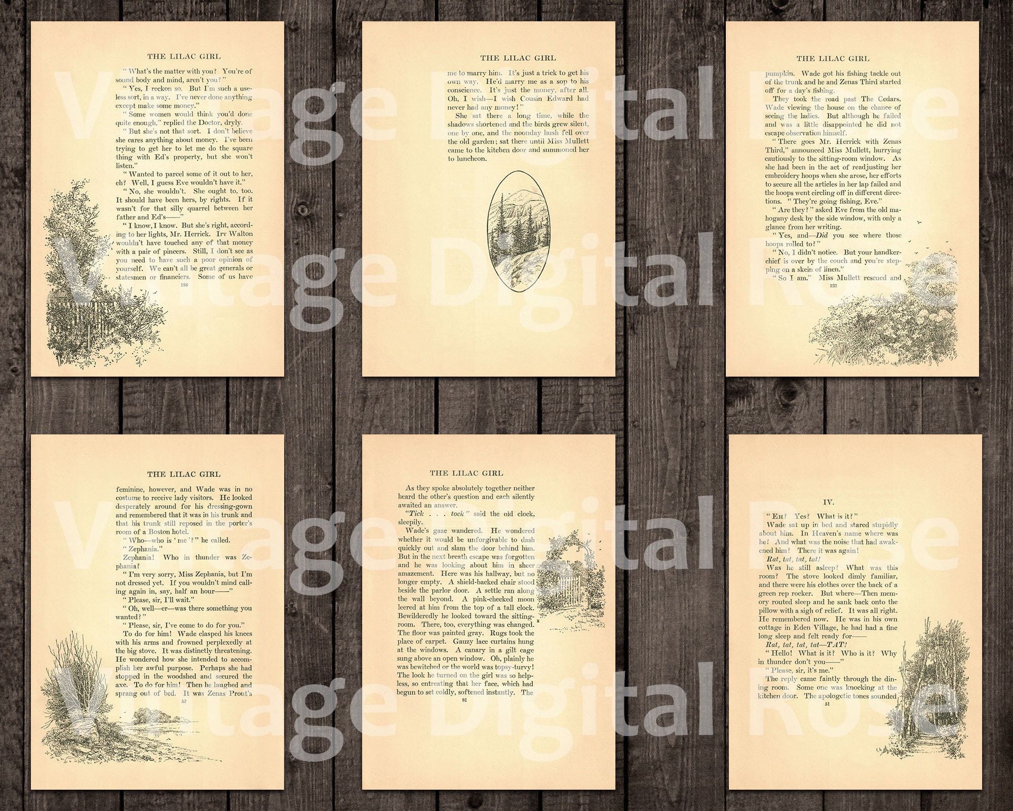 20 Vintage the Lilac Girl Book Pages Ralph Henry Barbour Black White ...