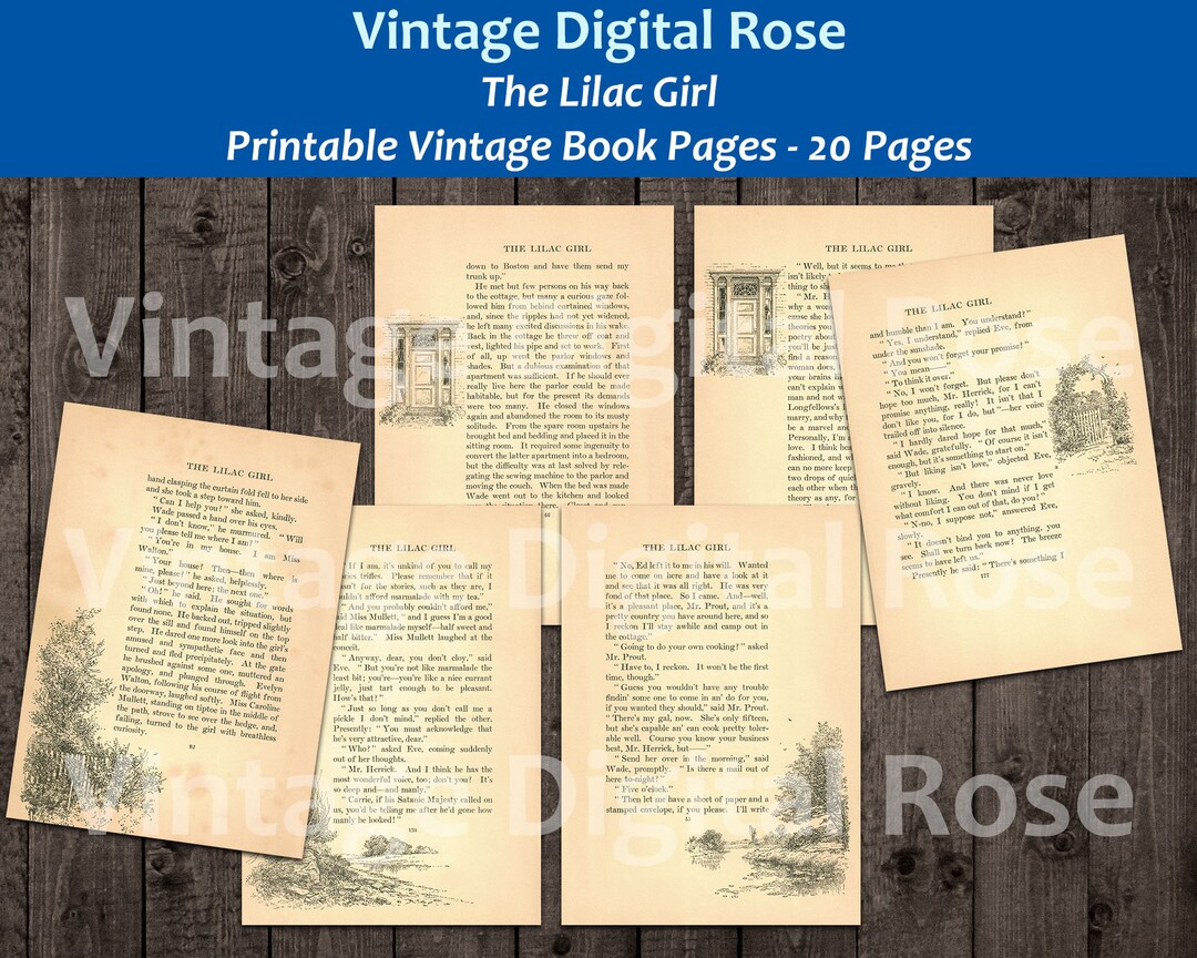20 Vintage the Lilac Girl Book Pages Ralph Henry Barbour Black White ...