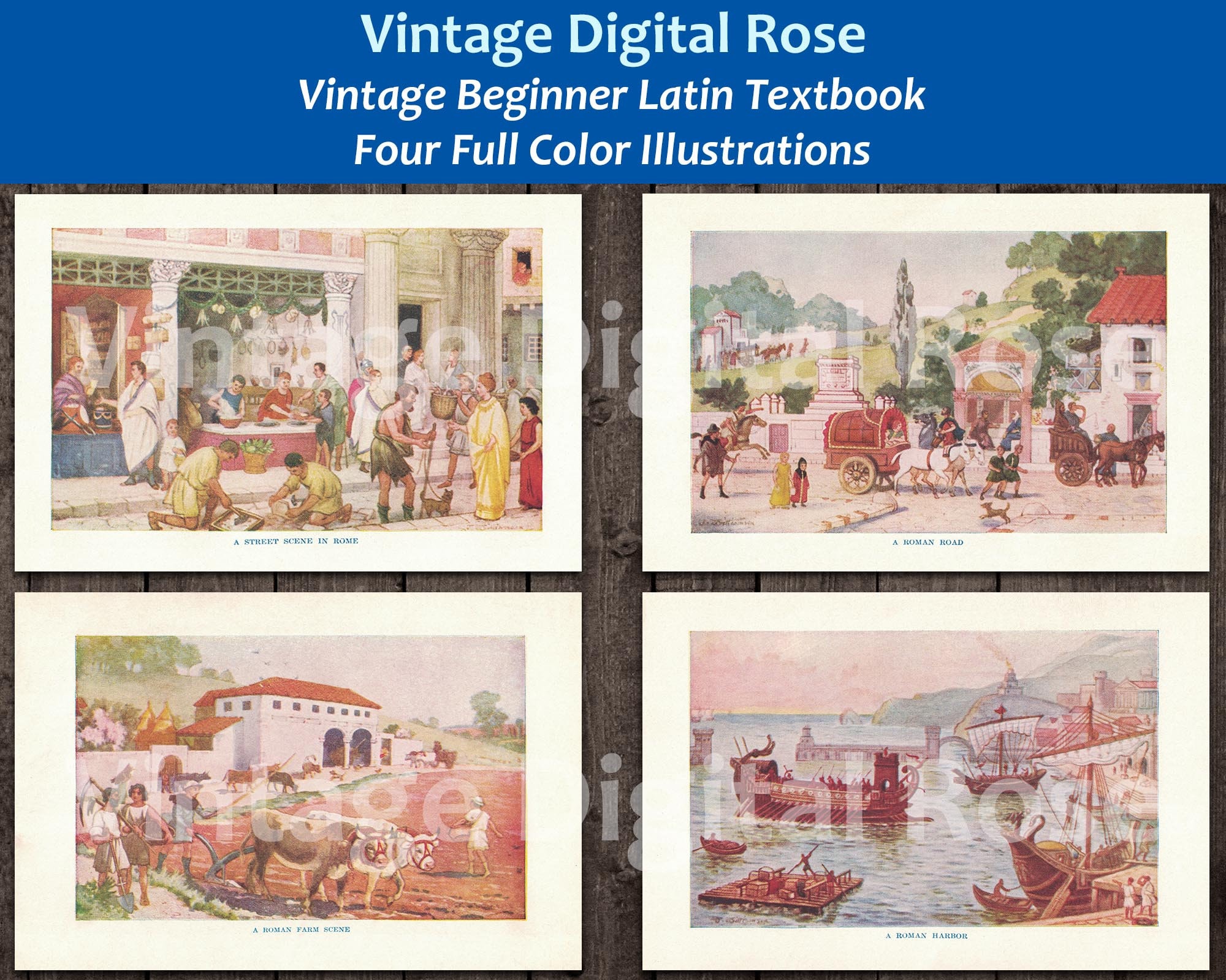 Vintage Latin Textbook Roman Life 4x6 Full Color Illustrations | Etsy