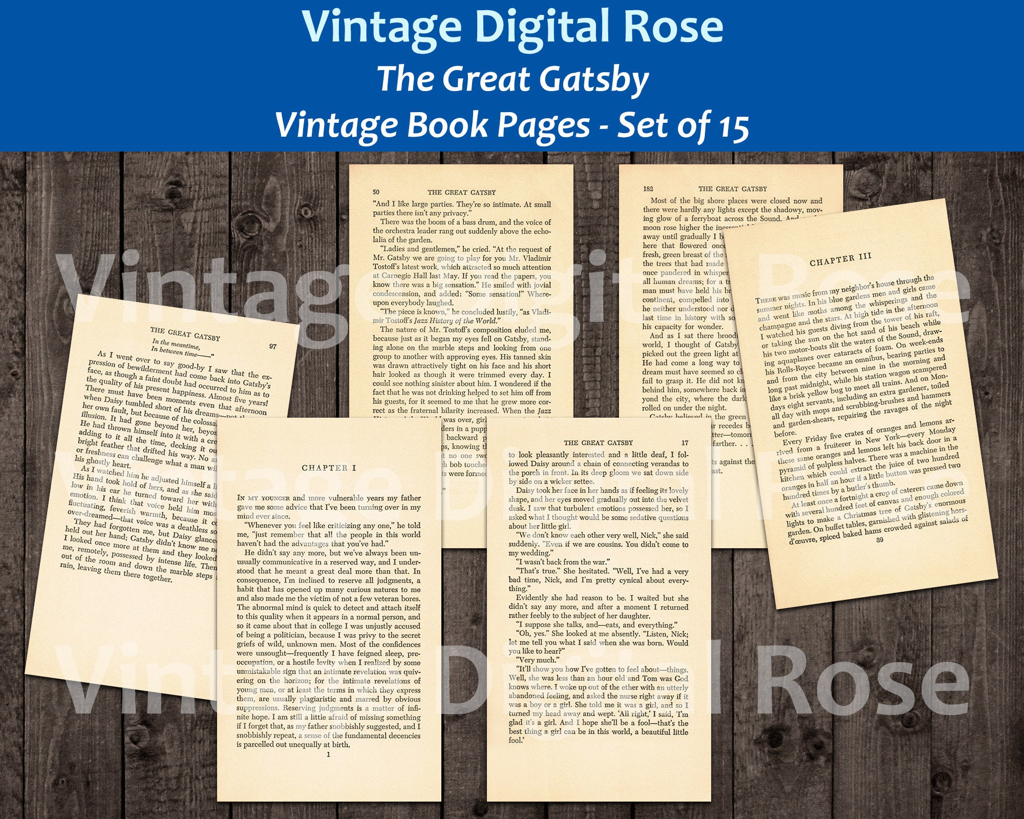 15 Printable the Great Gatsby Full Book Pages Famous Popular - Etsy