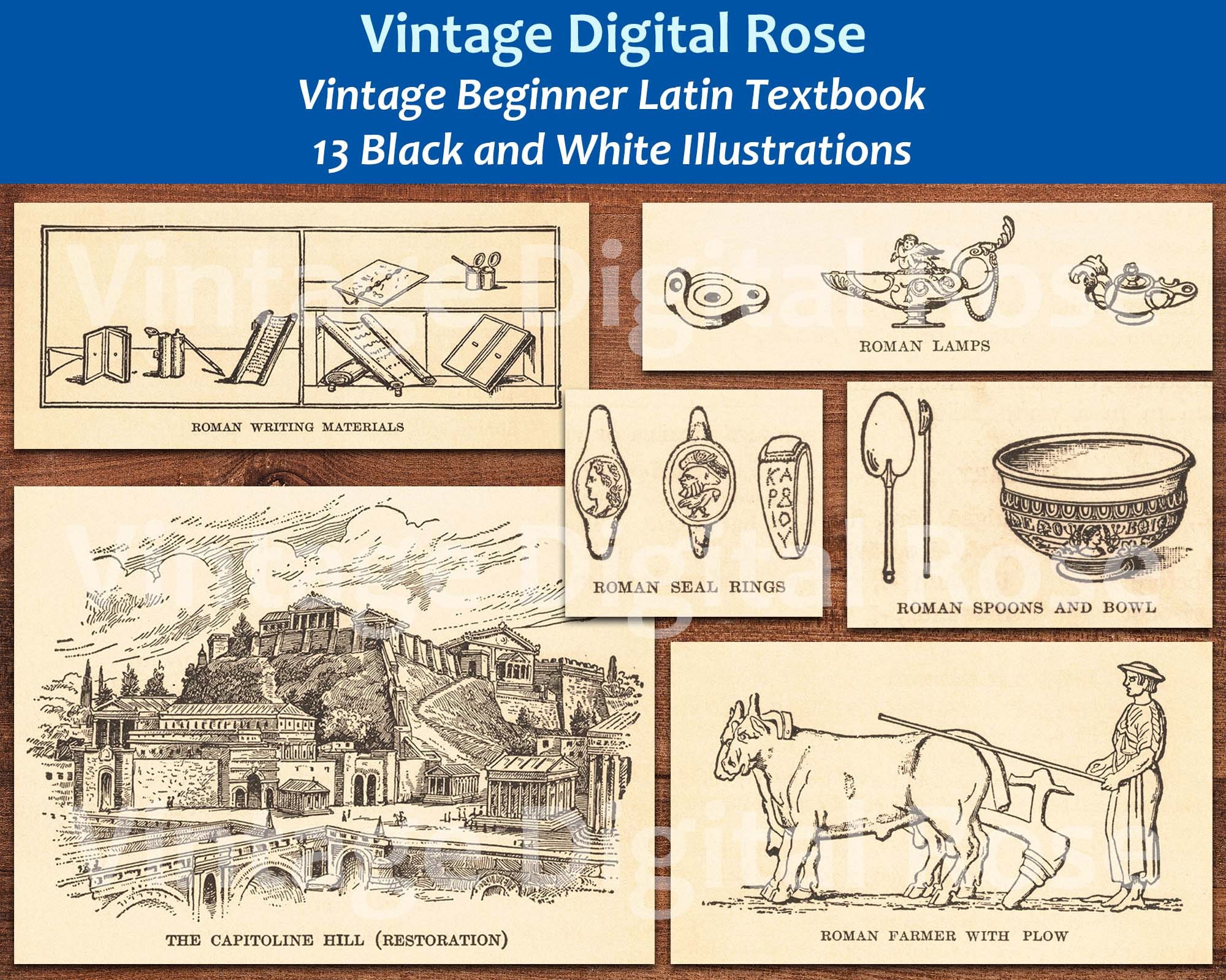 Vintage Latin Textbook Roman Life Black and White Illustrations ...