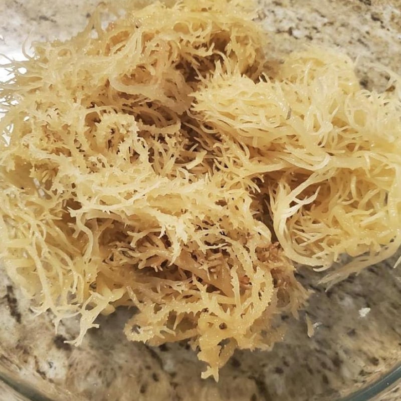 Dr Sebi Sea Moss - Etsy