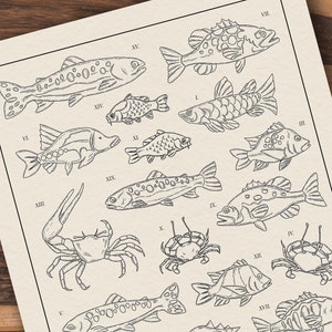 Sea Creatures of Hyrule - DIGITAL DOWNLOAD | Zelda Tears of the Kingdom ...