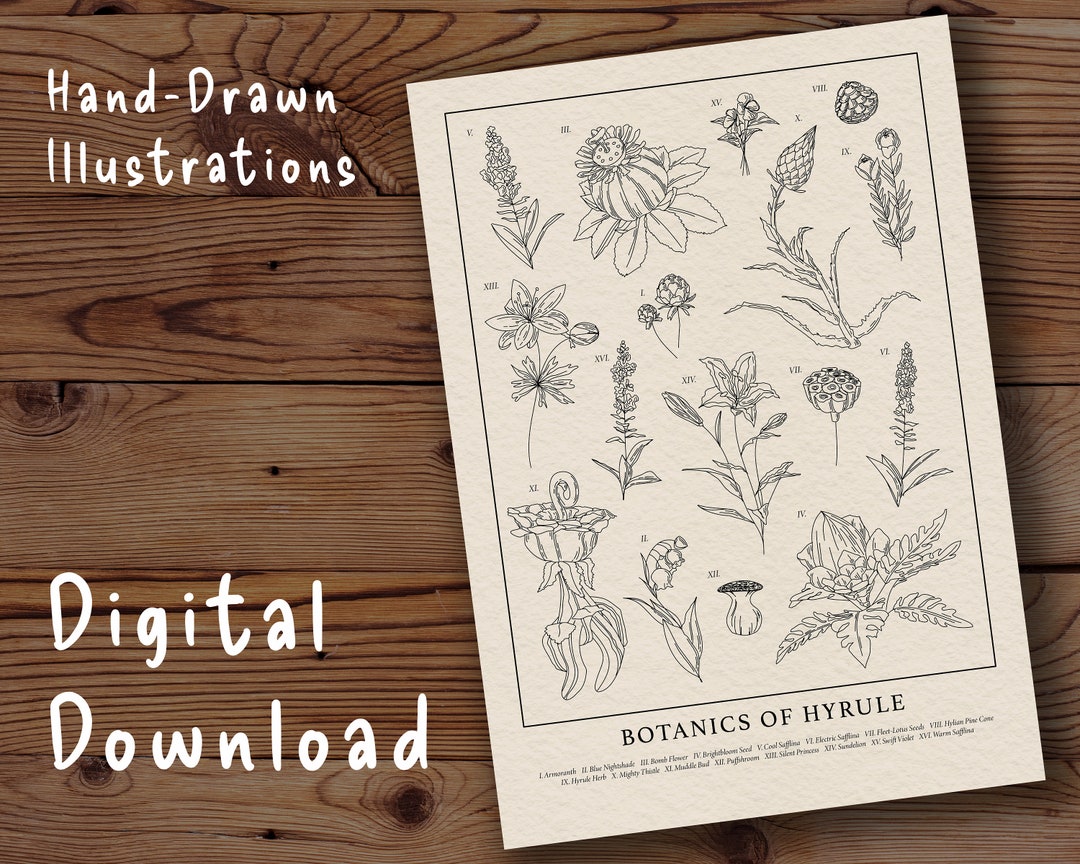 Botanics of Hyrule - DIGITAL DOWNLOAD | Zelda Tears of the Kingdom ...