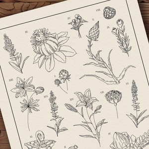 Botanics of Hyrule – Zelda Tears of the Kingdom Art Print: A5, A4 ...