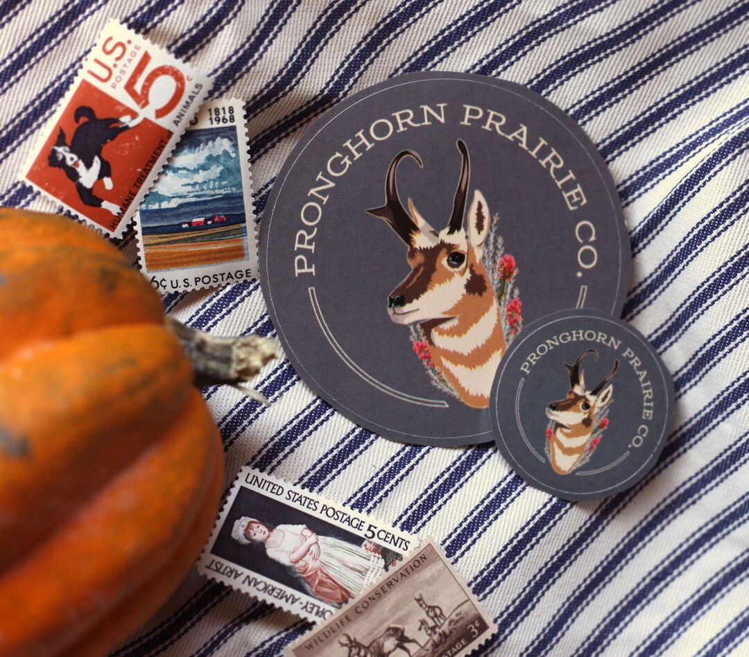 Sticker, Pronghorn Prairie Co Stickers, Pronghorn Antelope Sticker - Etsy