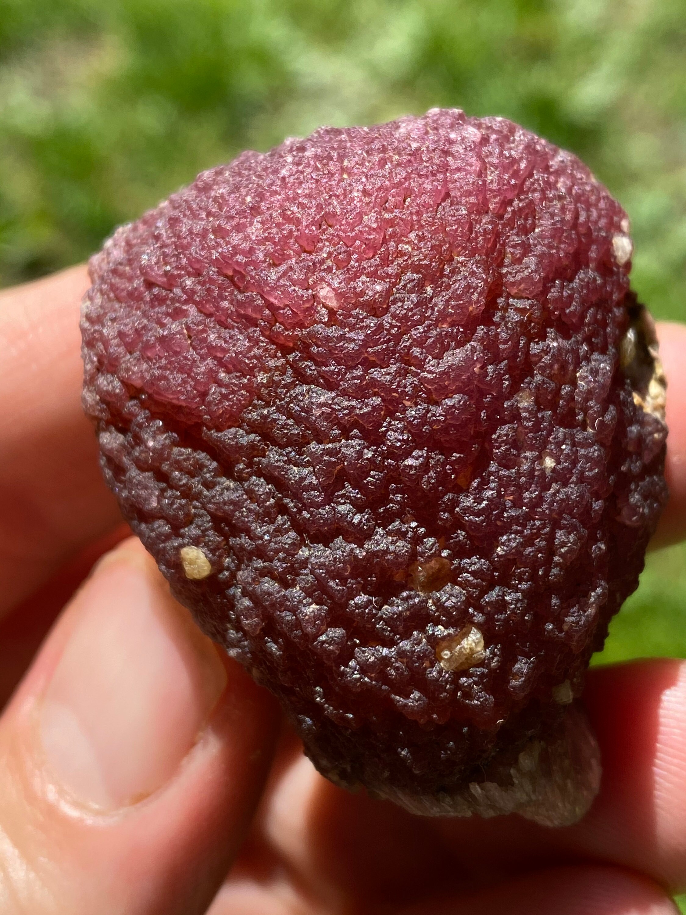 Rubellite Mushroom Tourmaline Mogok Burma | Etsy