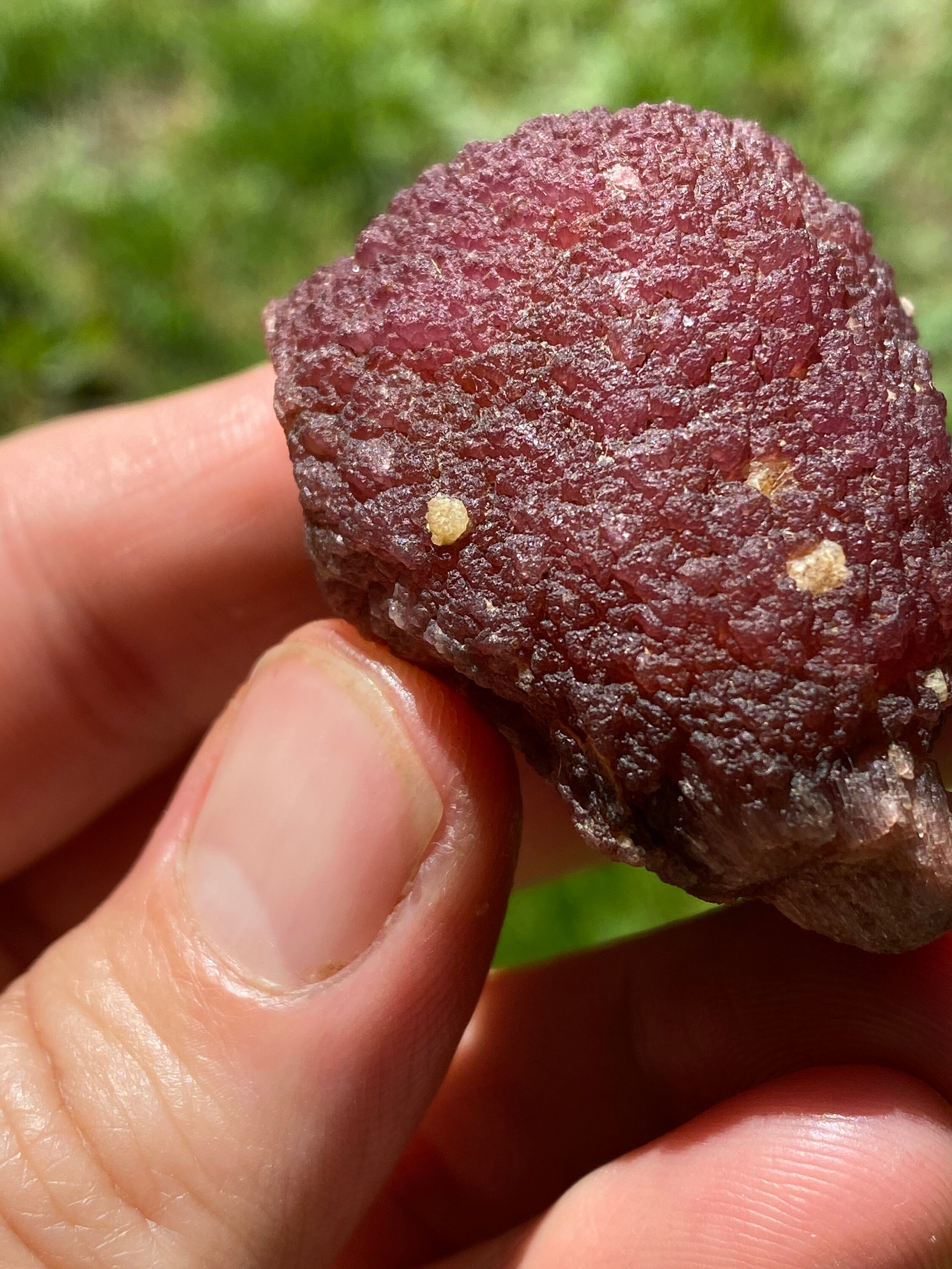 Rubellite Mushroom Tourmaline Mogok Burma | Etsy