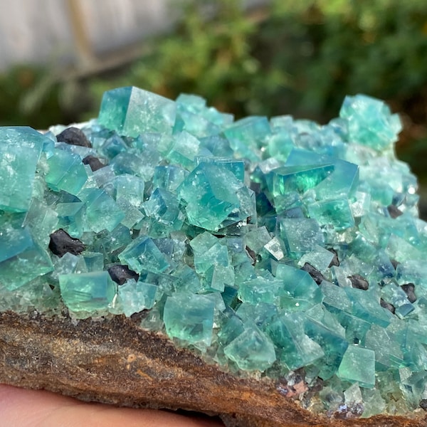 Large Fluorite - Etsy