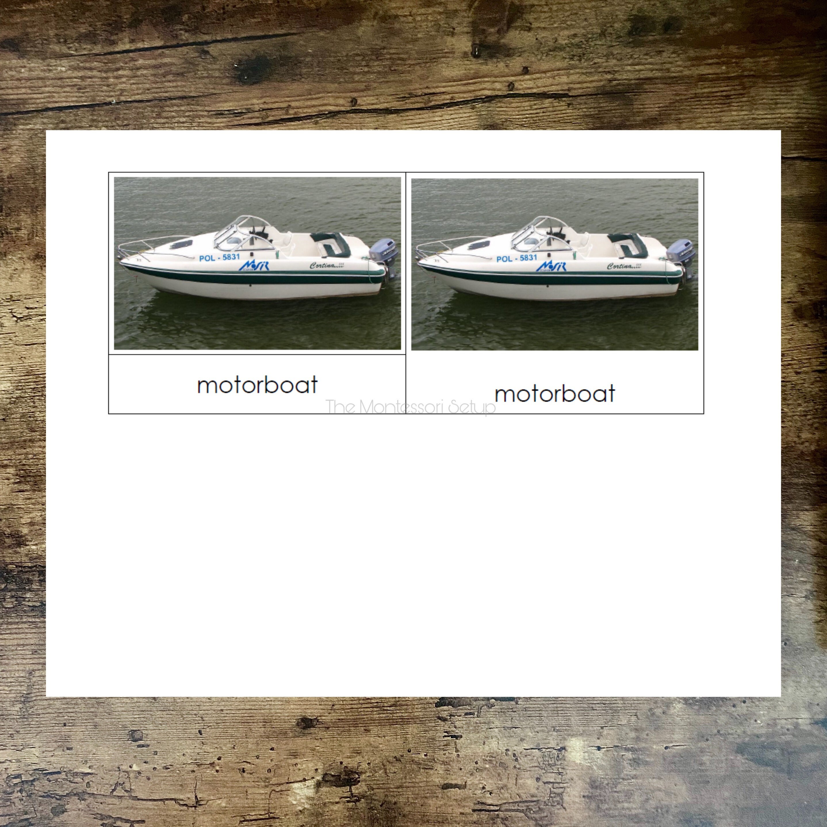 PRINTABLE in the Water 3 Part Cards for Safariltd TOOB - Etsy