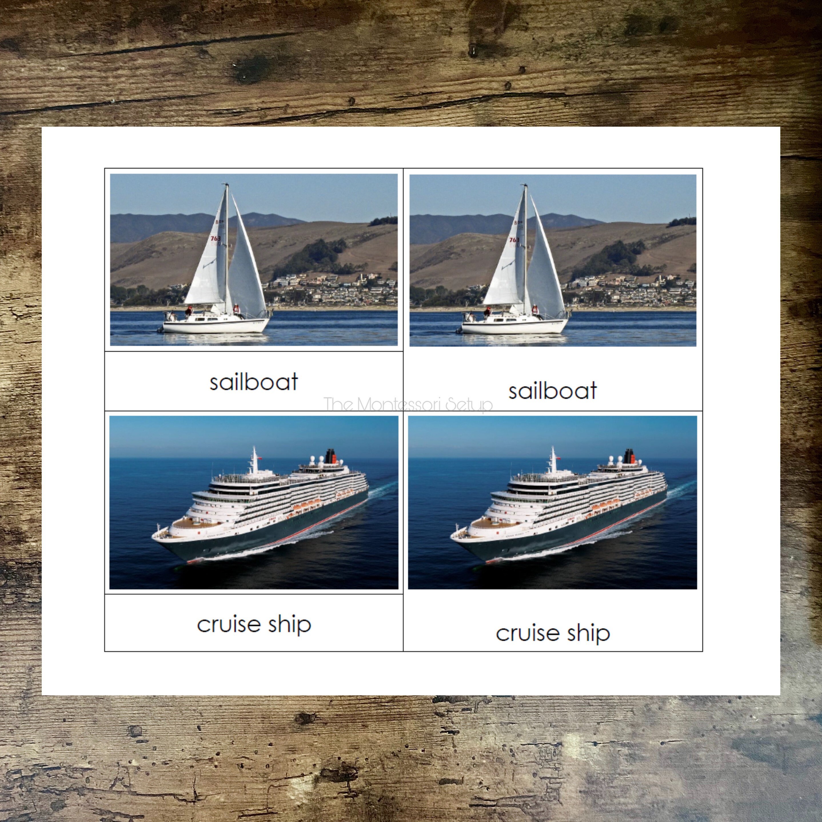 PRINTABLE in the Water 3 Part Cards for Safariltd TOOB - Etsy