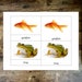 PRINTABLE Pets 3 Part Cards for Safariltd TOOB Sassoon Font - Etsy