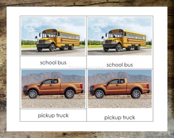 PRINTABLE in the Water 3 Part Cards for Safariltd TOOB - Etsy