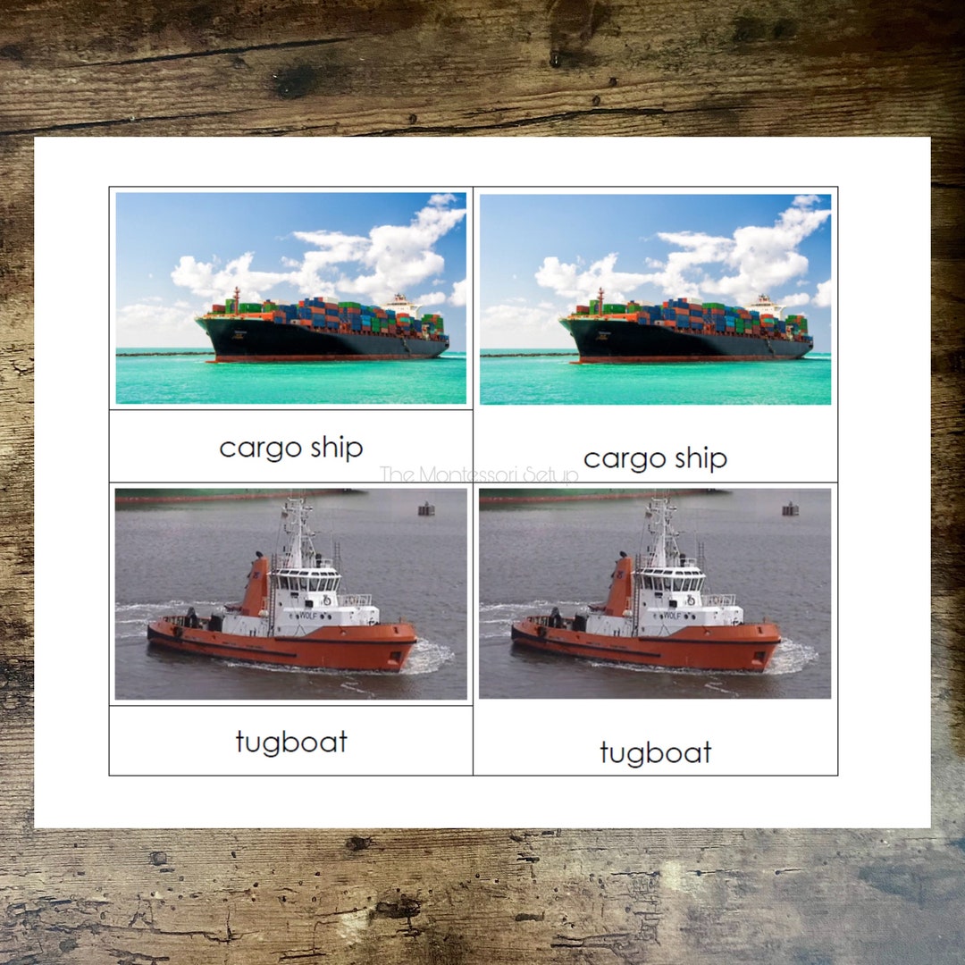 PRINTABLE in the Water 3 Part Cards for Safariltd TOOB - Etsy