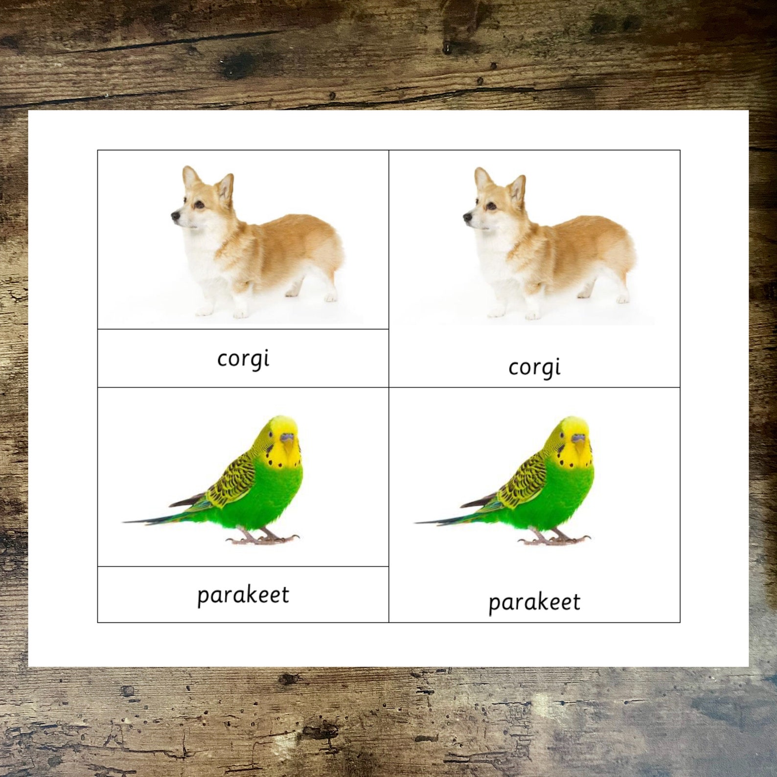 PRINTABLE Pets 3 Part Cards for Safariltd TOOB Sassoon Font - Etsy
