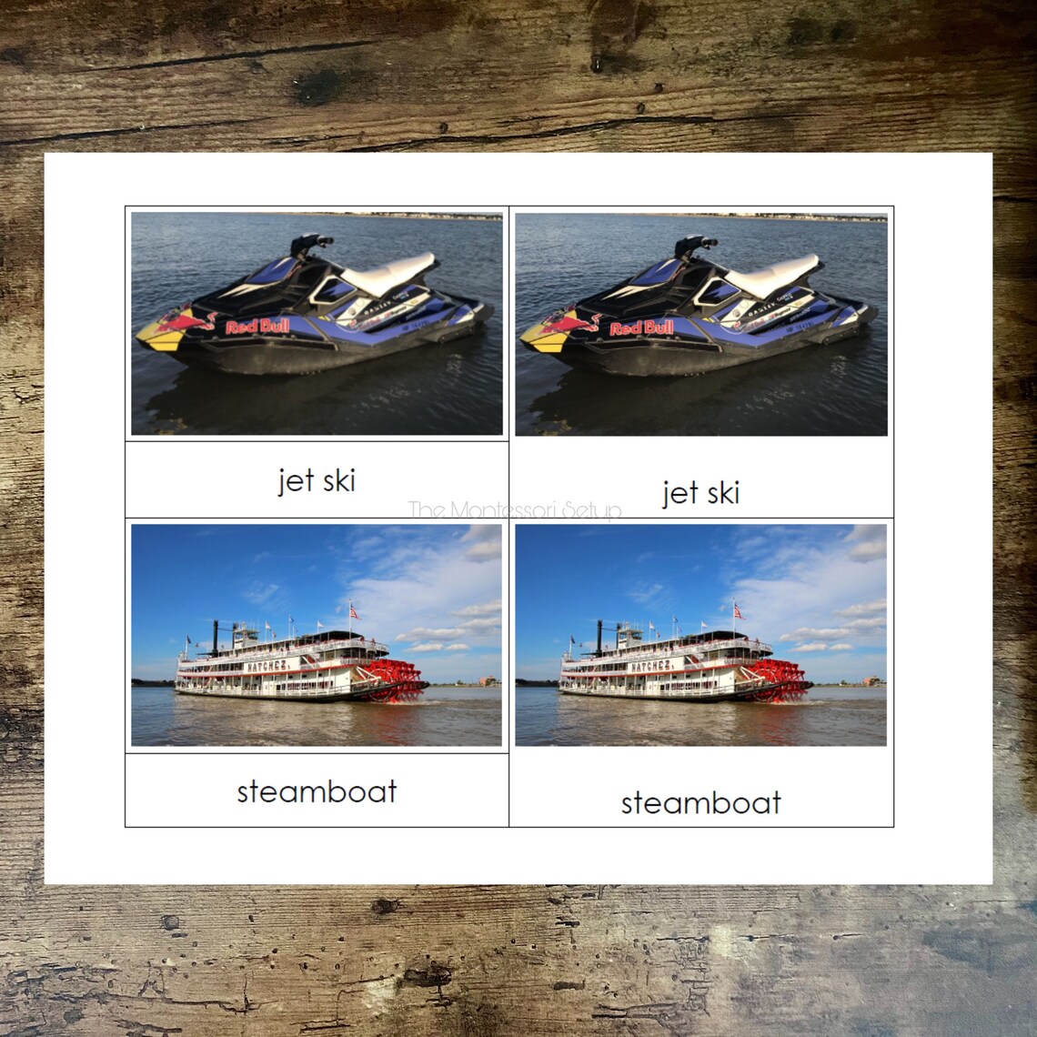 PRINTABLE in the Water 3 Part Cards for Safariltd TOOB - Etsy